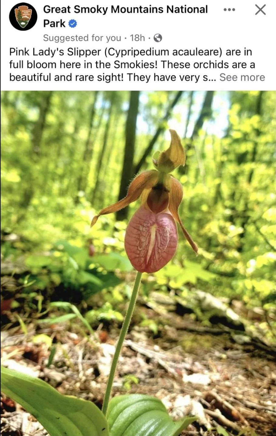 You shouldn't put it in this plant | Scrolller