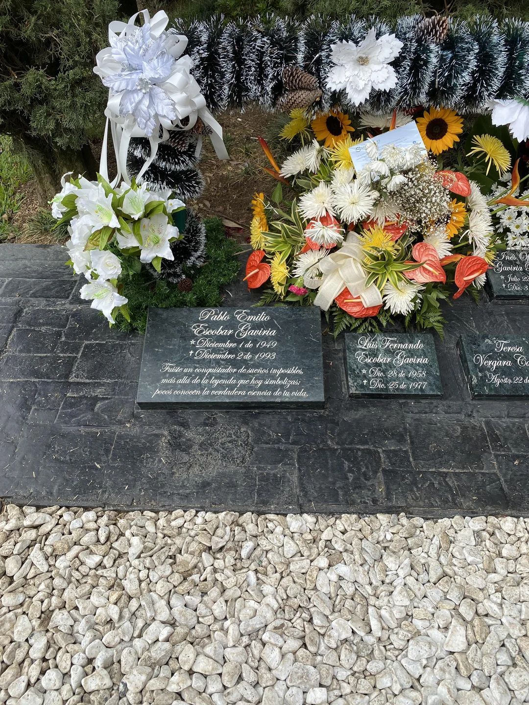 Don Pablo Escobar | Scrolller