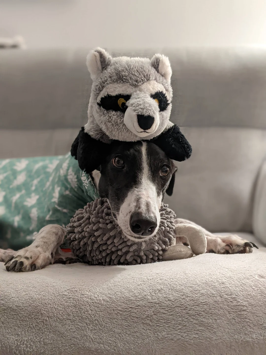 "Toy Stacking" - Level 1 | Scrolller