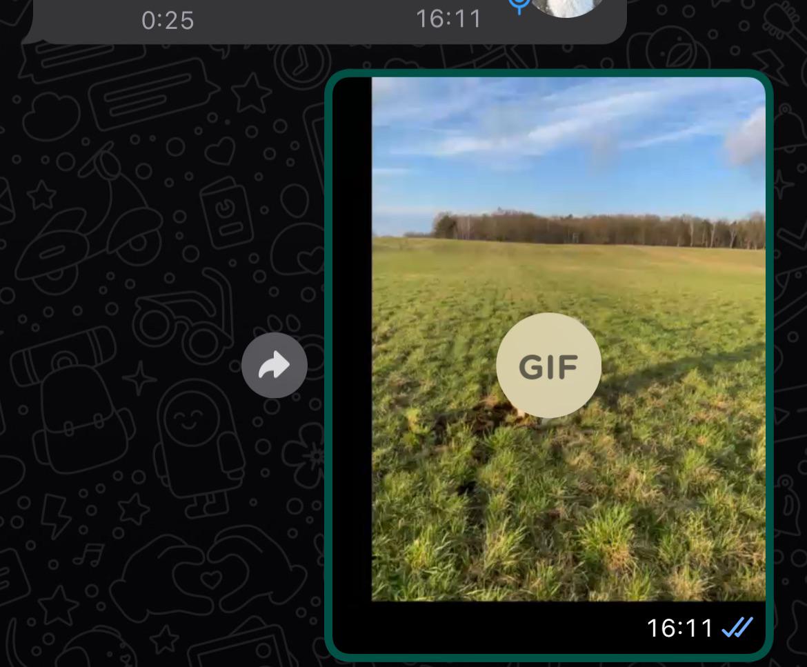 Black borders around gifs | Scrolller