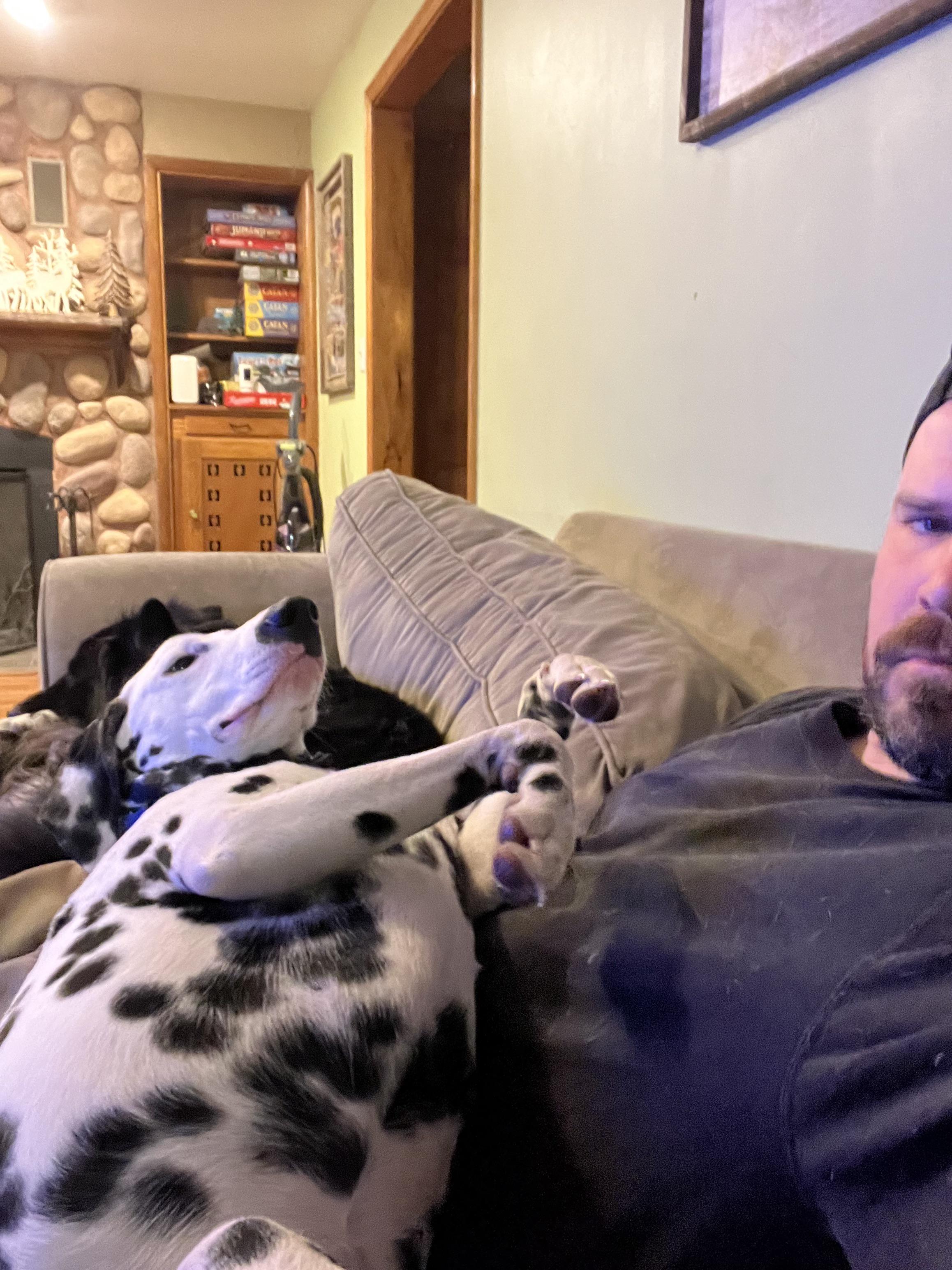 Ladybird | Scrolller