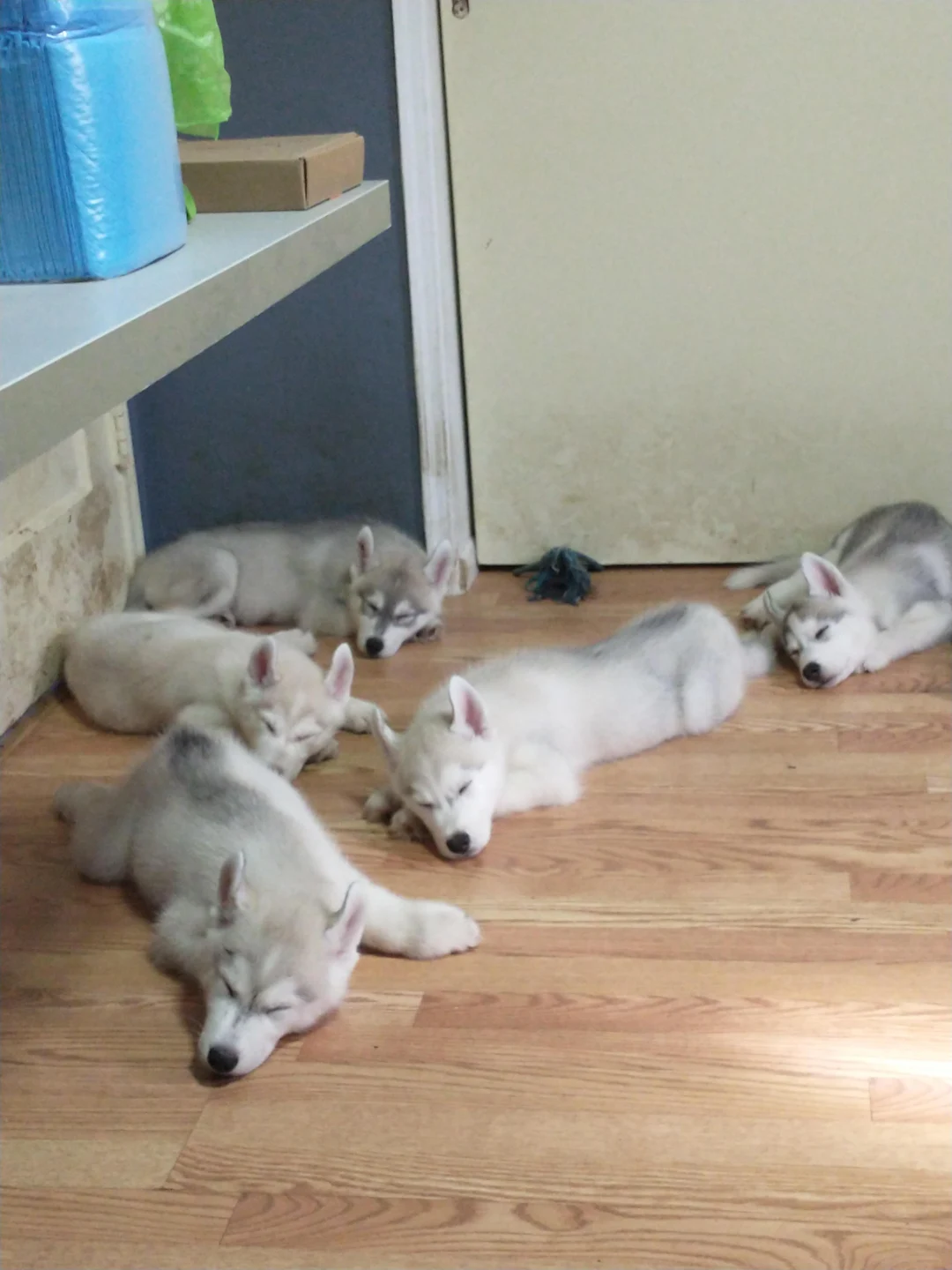 Priceless | Scrolller