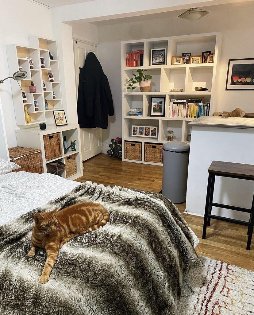 My old studio flat (the cat isn’t mine, he just liked to come in and chill) | Scrolller