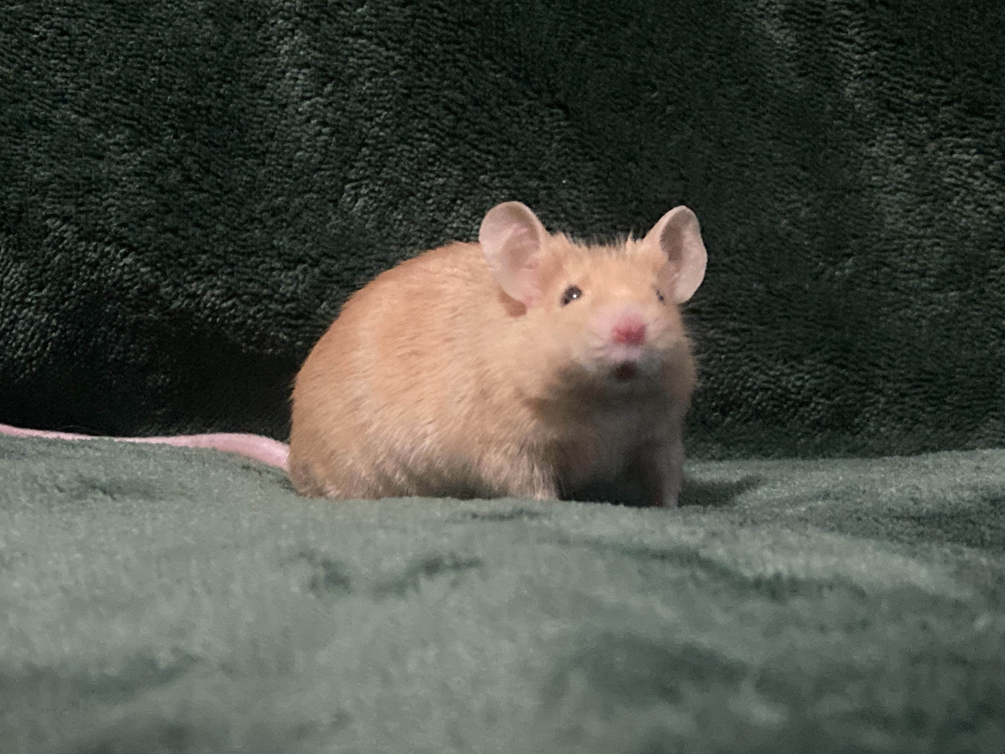 Izzy Is Such A Sweet Girl Scrolller