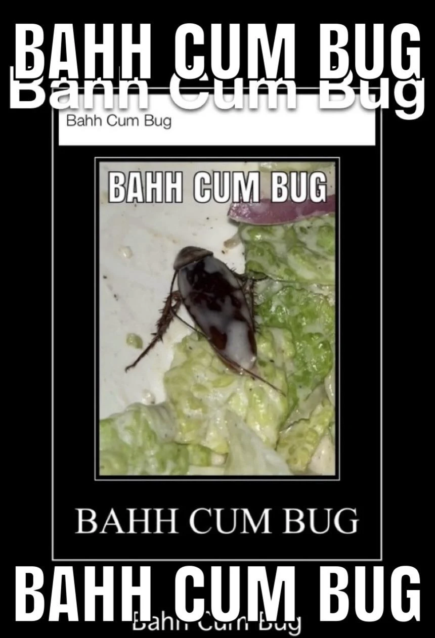 Bahh Cum Bug | Scrolller