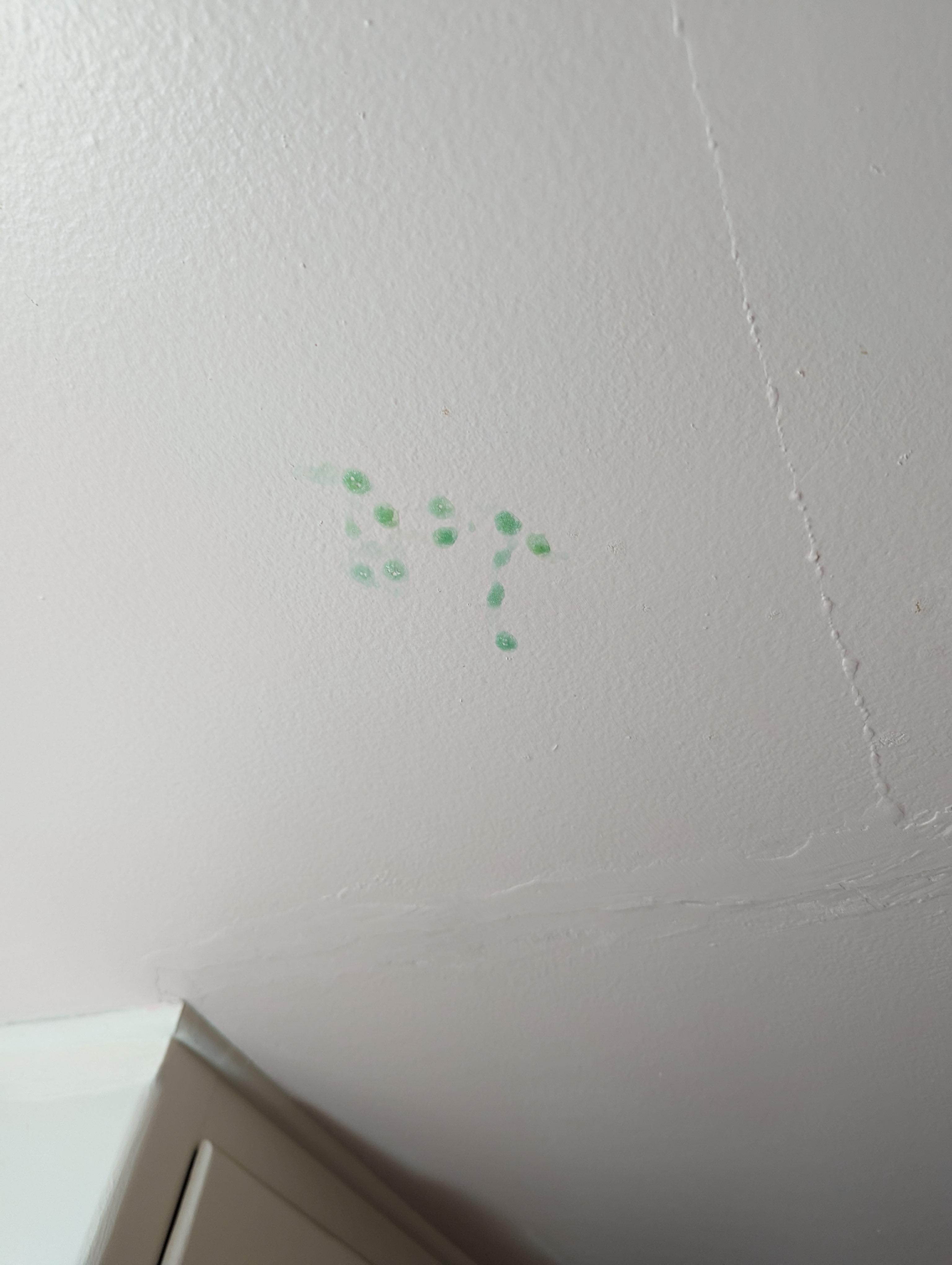 Is this mold? | Scrolller