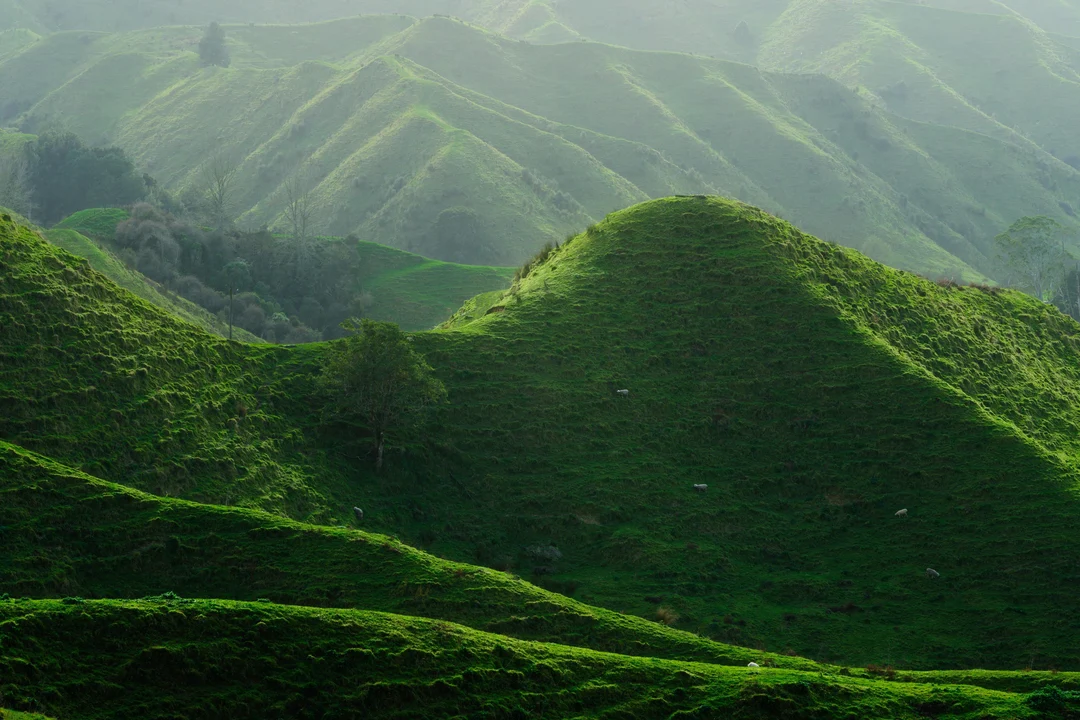 The rolling hills of New Zealand from the Forgotten World Highway [4095x2730] [OC] | Scrolller