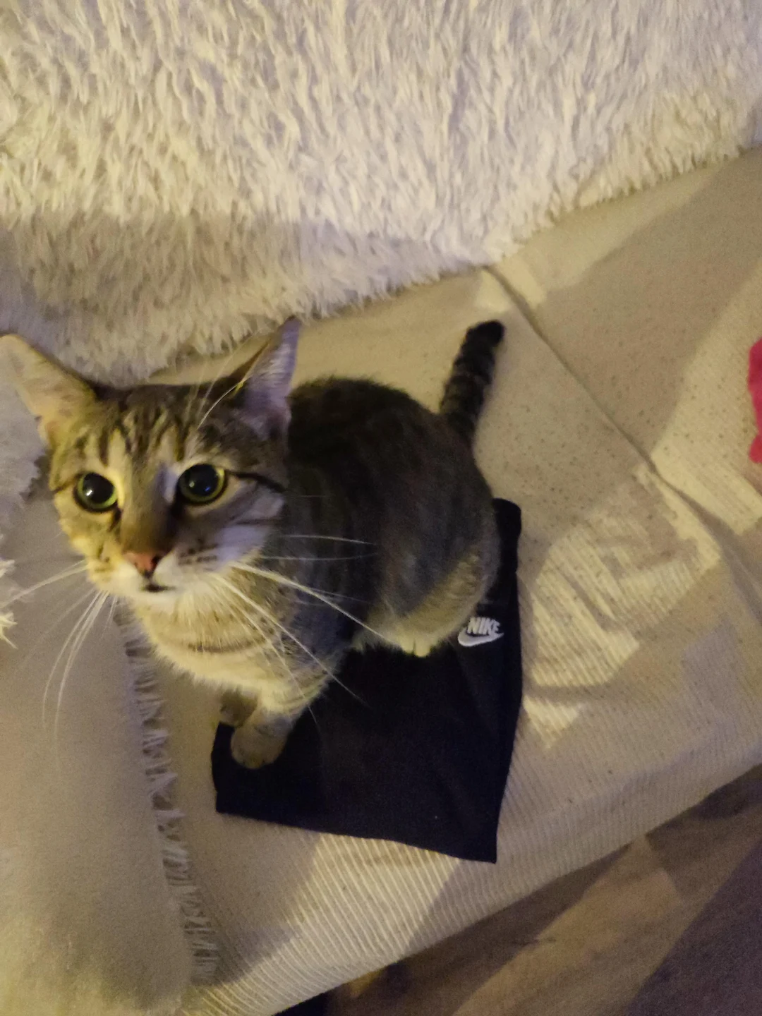 folded shirts always works | Scrolller