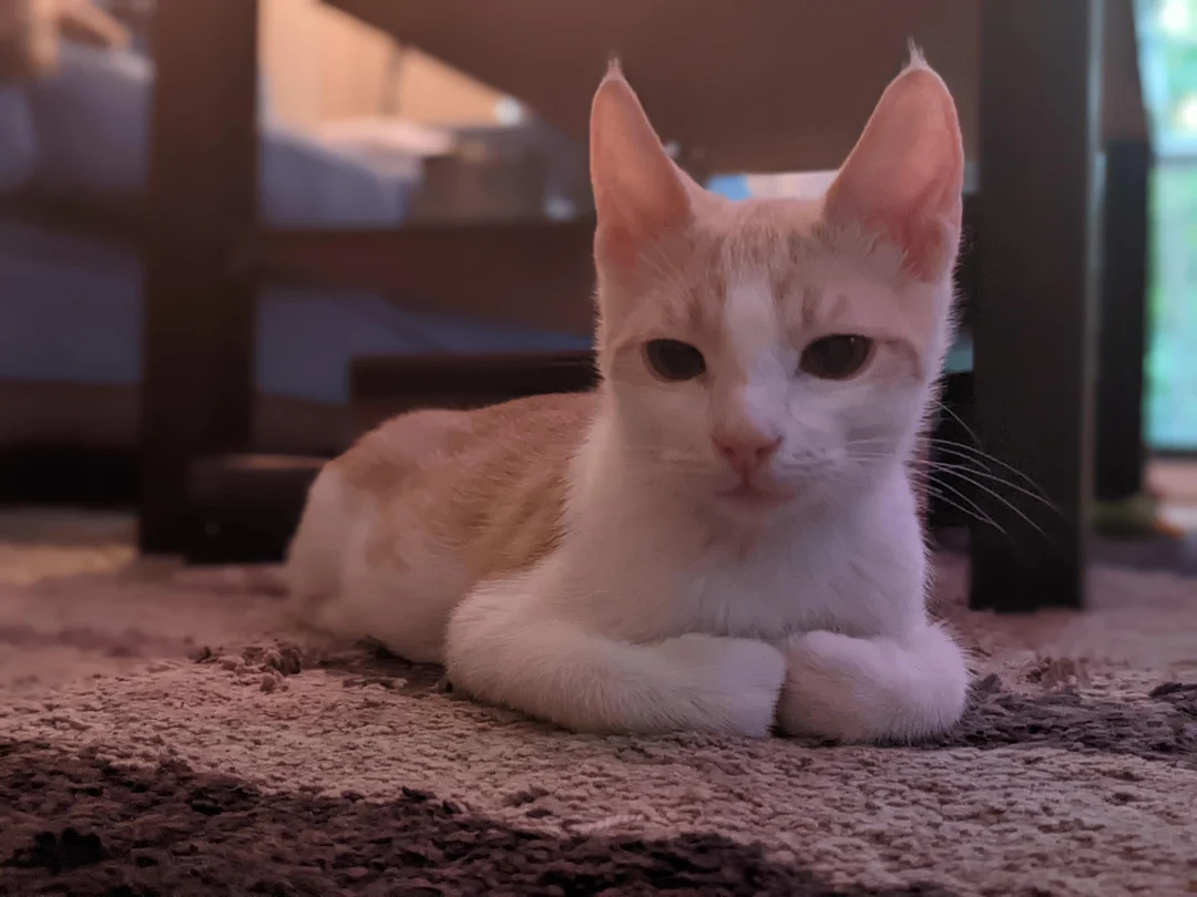 Hawkins has finally perfected the loaf! | Scrolller