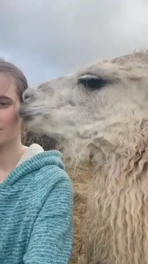 POV: You are a Illari Main | Scrolller