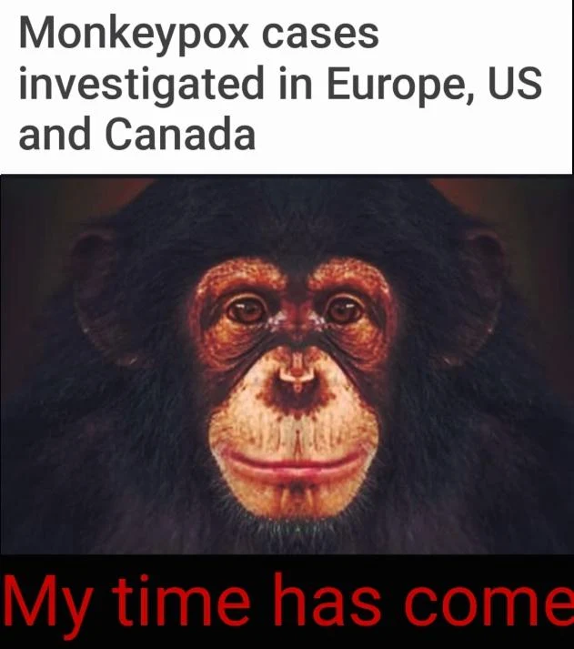 This is our punishment for forgetting about the random chimp event | Scrolller