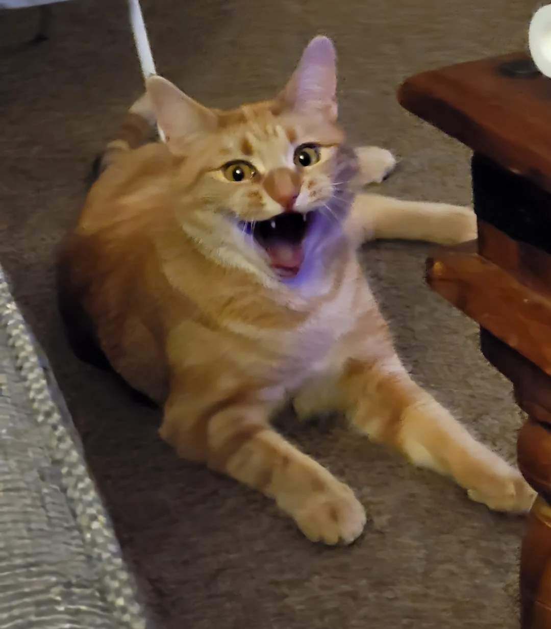 Leo just cracked a bad joke | Scrolller