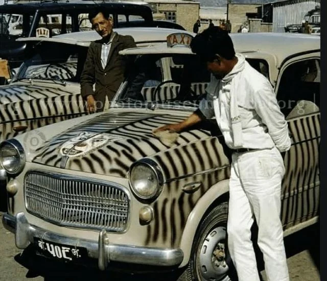 Tiger striped taxis of Kathmandu in the 60s | Scrolller