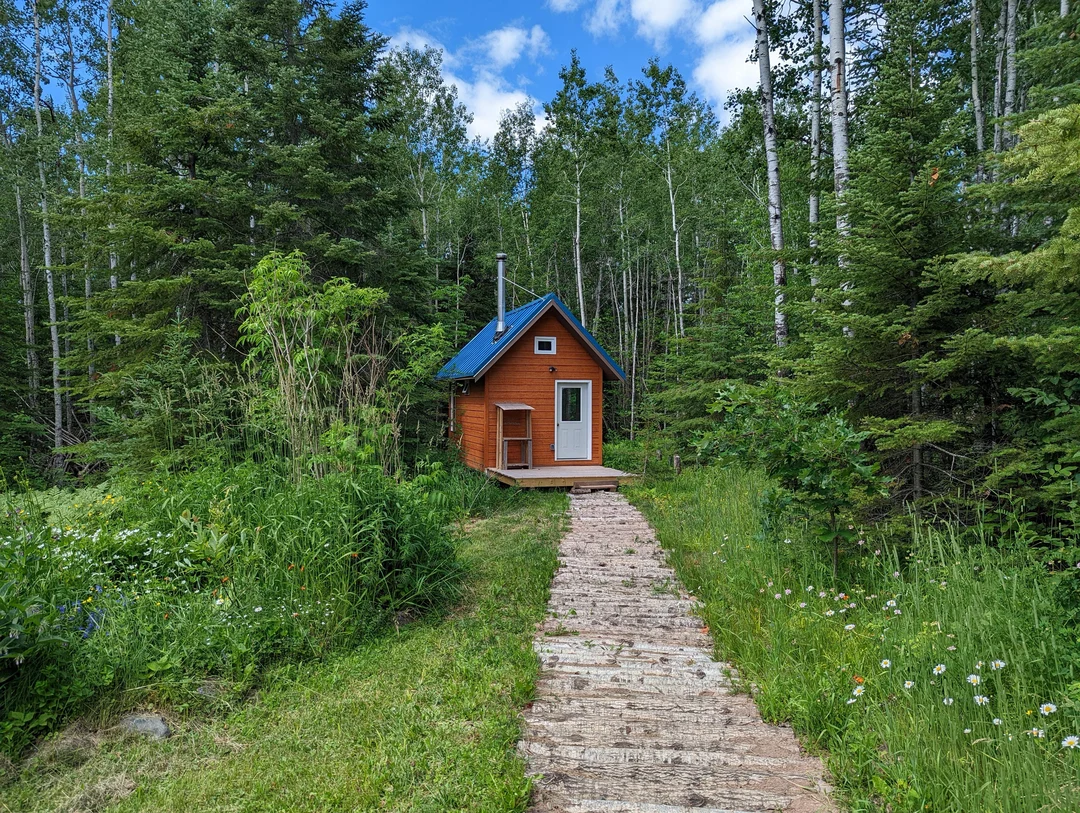 In love with the wildflowers on the path to my office | Scrolller