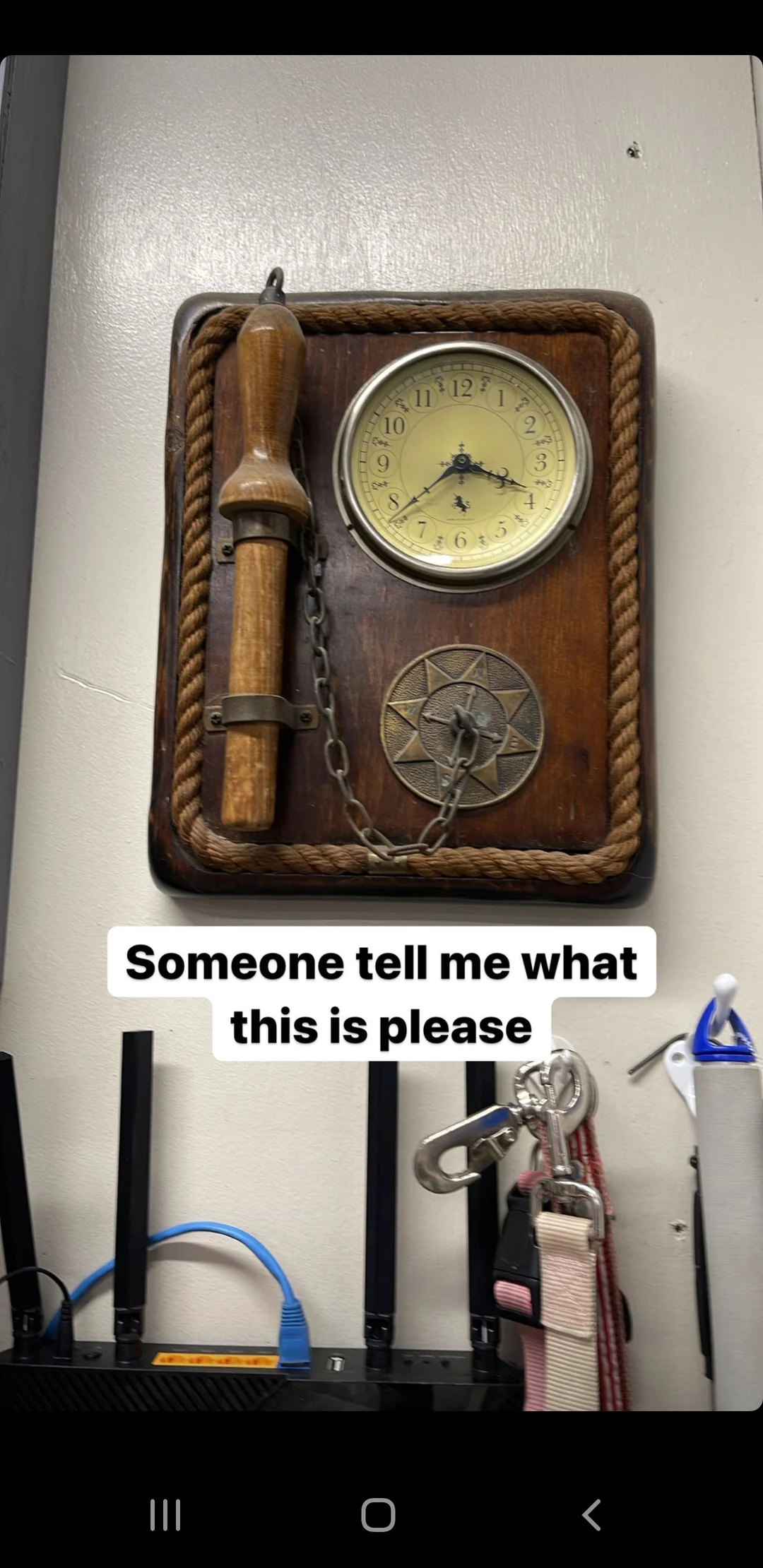 Does anyone have a clue as to what this is? | Scrolller