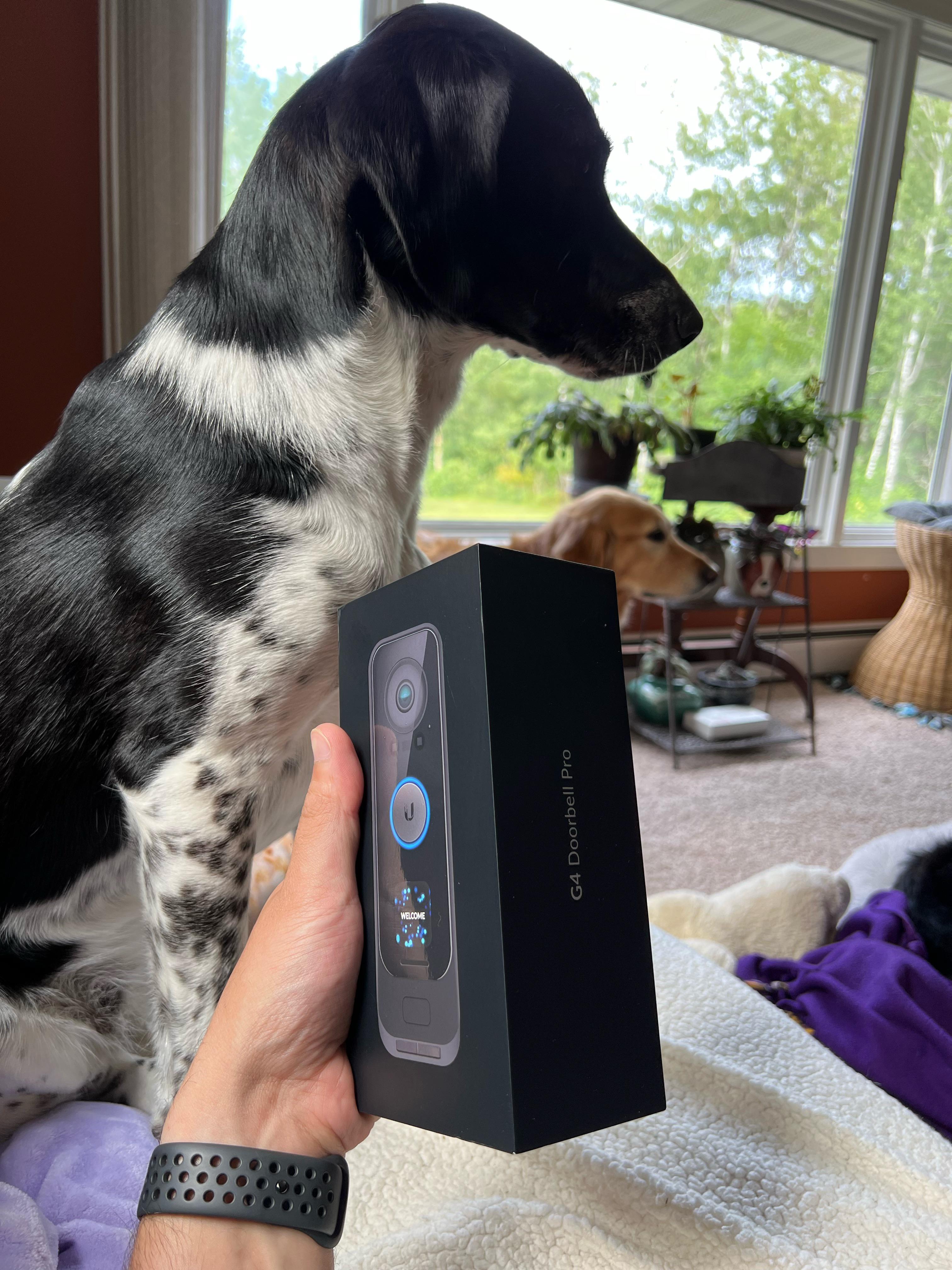 Poe adapter question | Scrolller