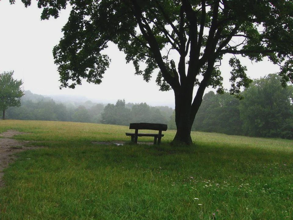 Do you have that place where you go to when you feel sad? | Scrolller