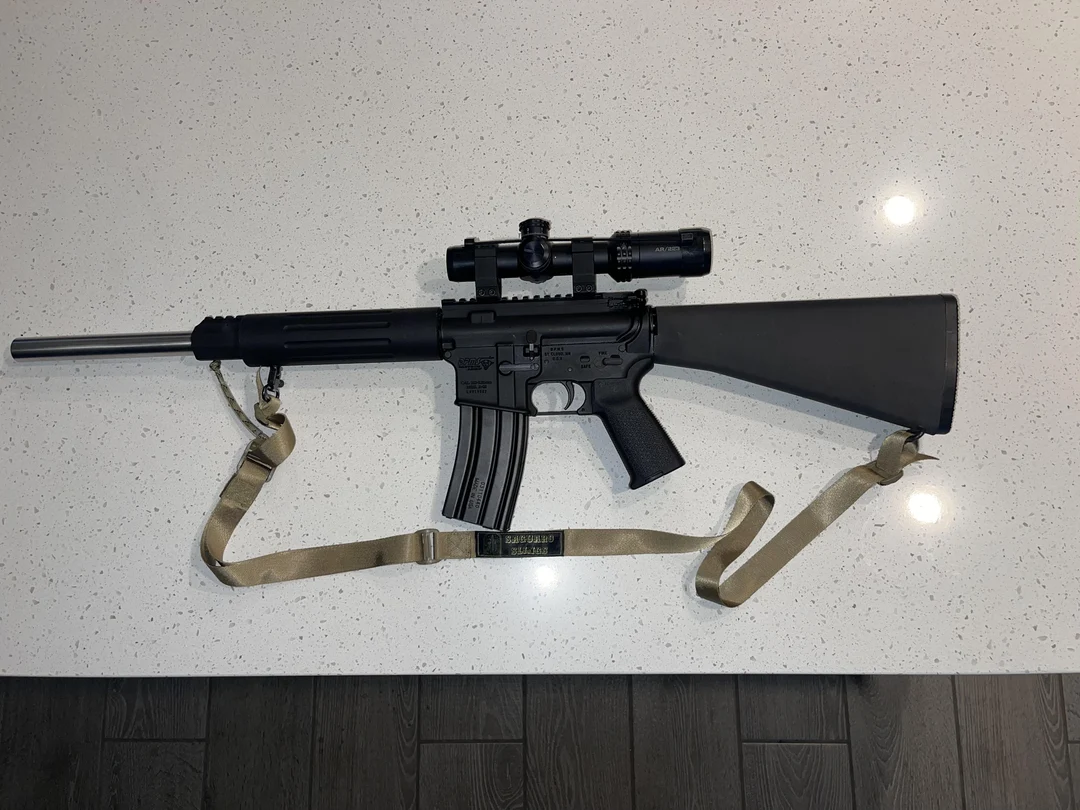 First ar15, had for about 6 months now | Scrolller