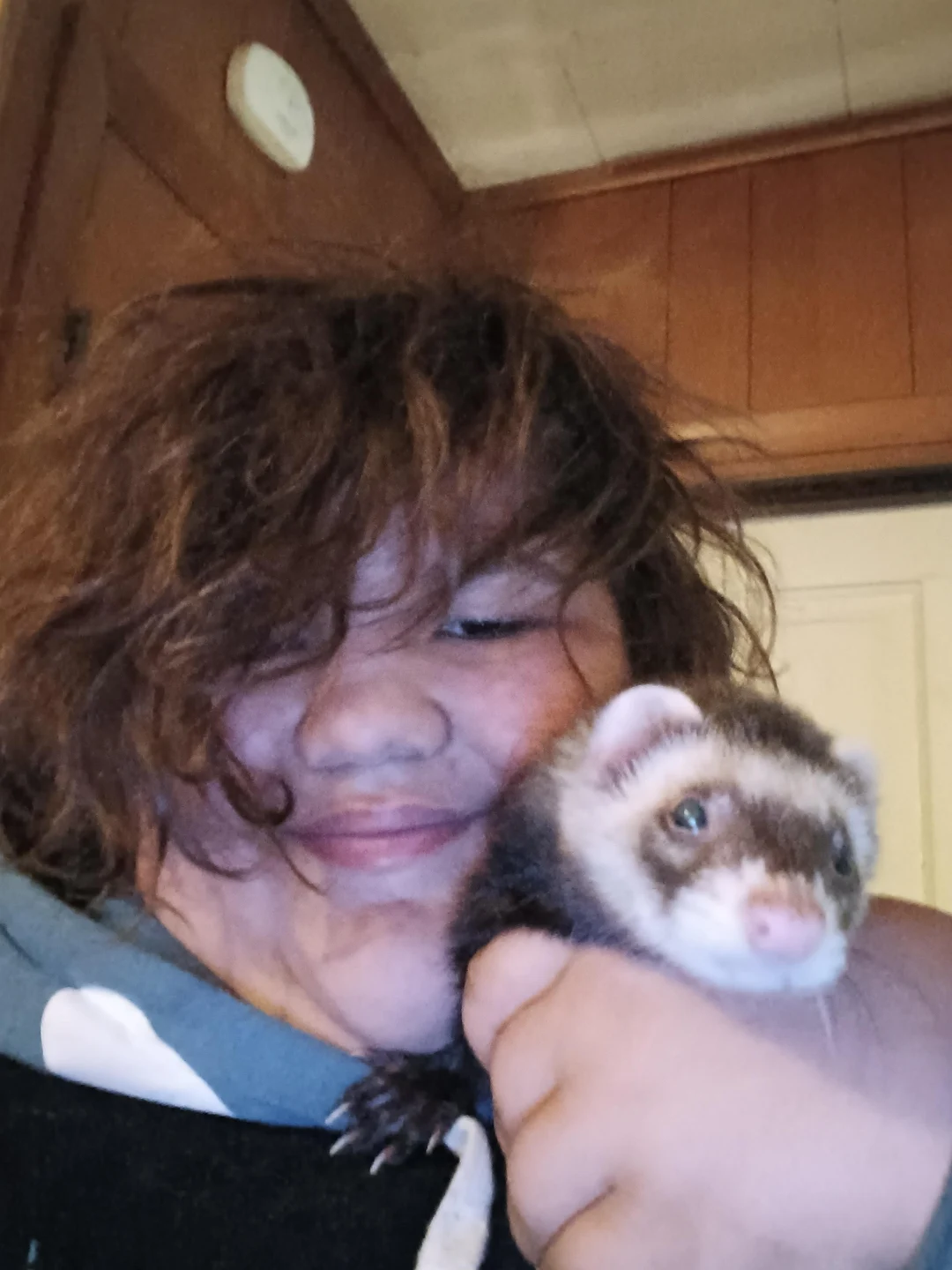Just got my first ferret | Scrolller