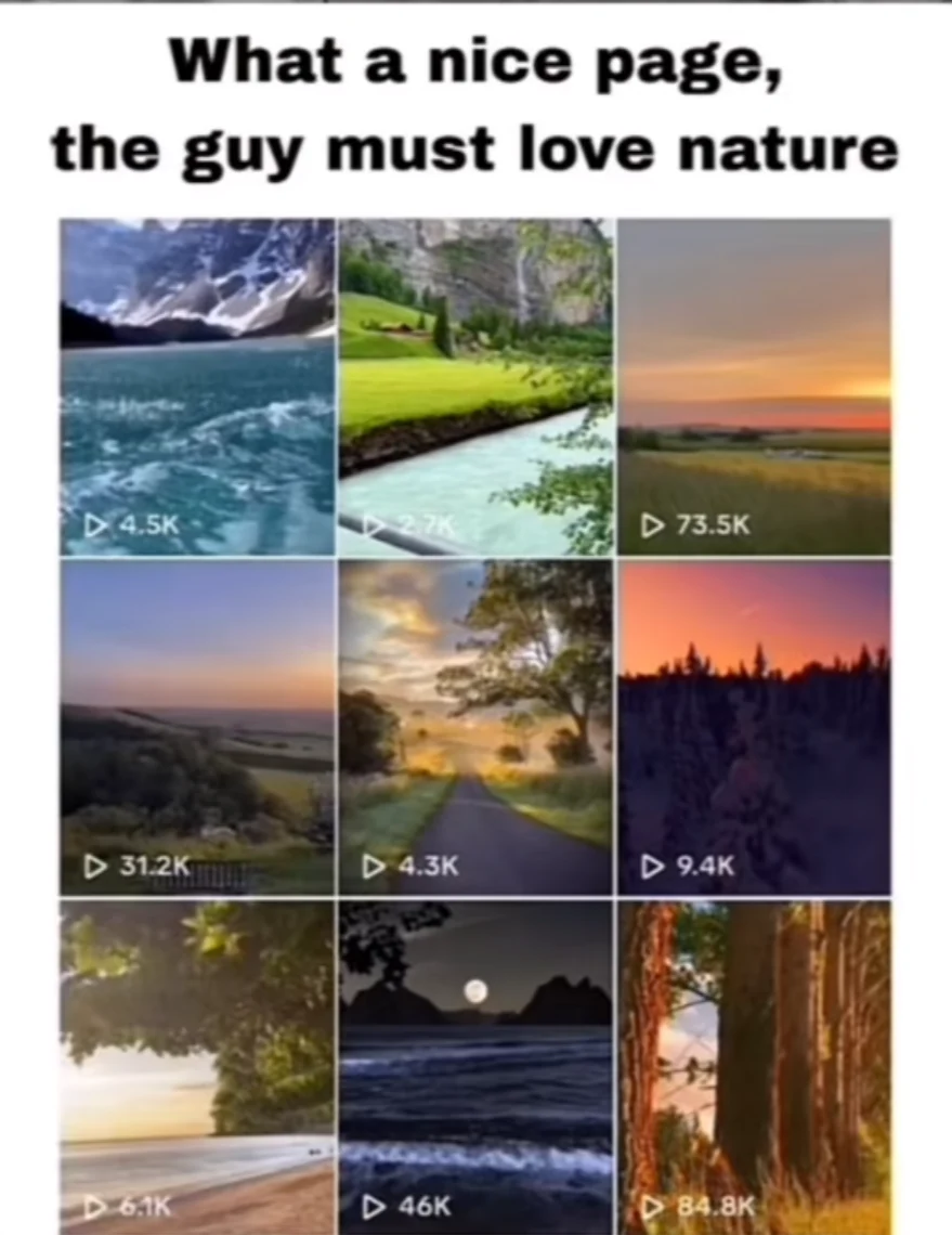 Tiktok reference | Scrolller