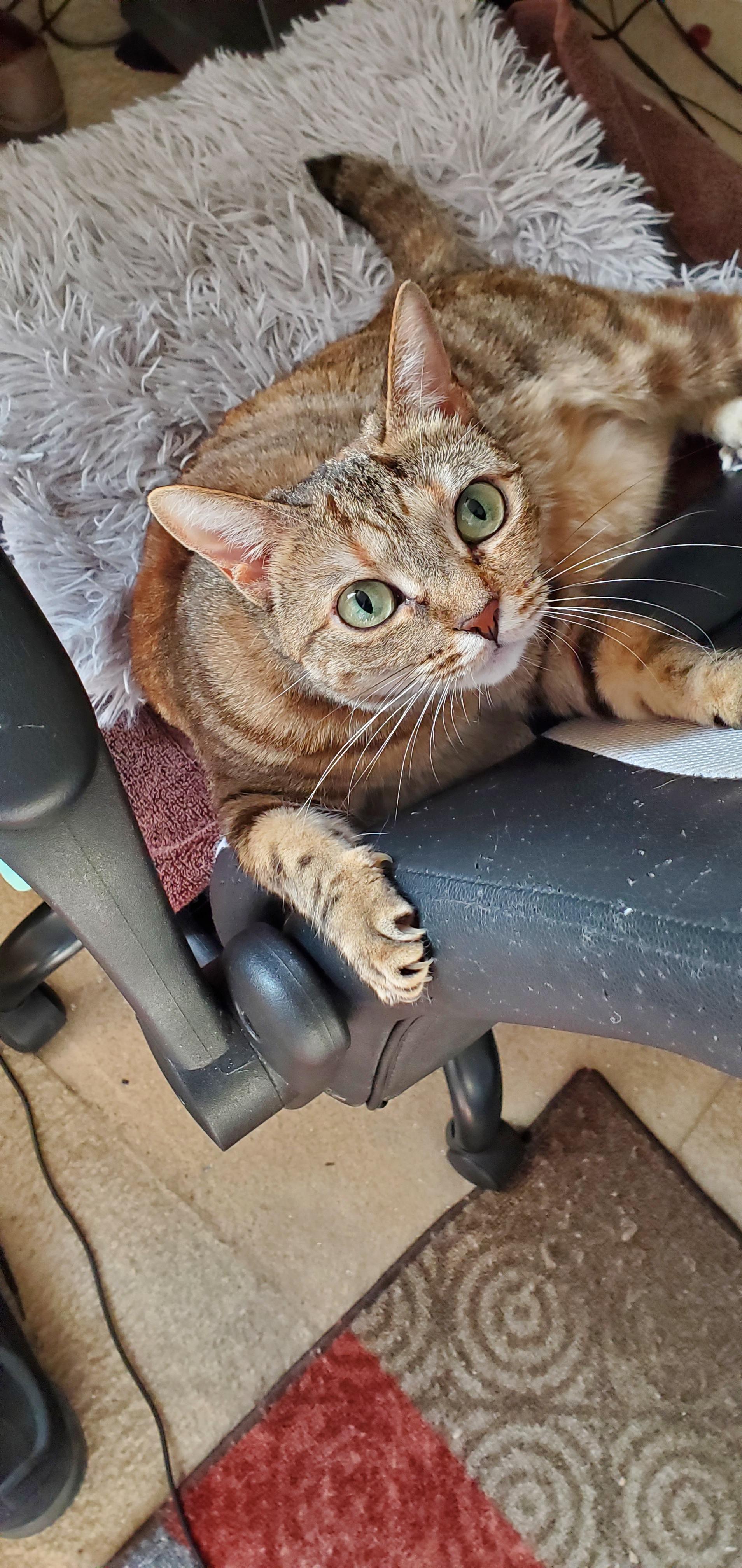 Discover more like Aww: Silly Girl and Related Content | Scrolller