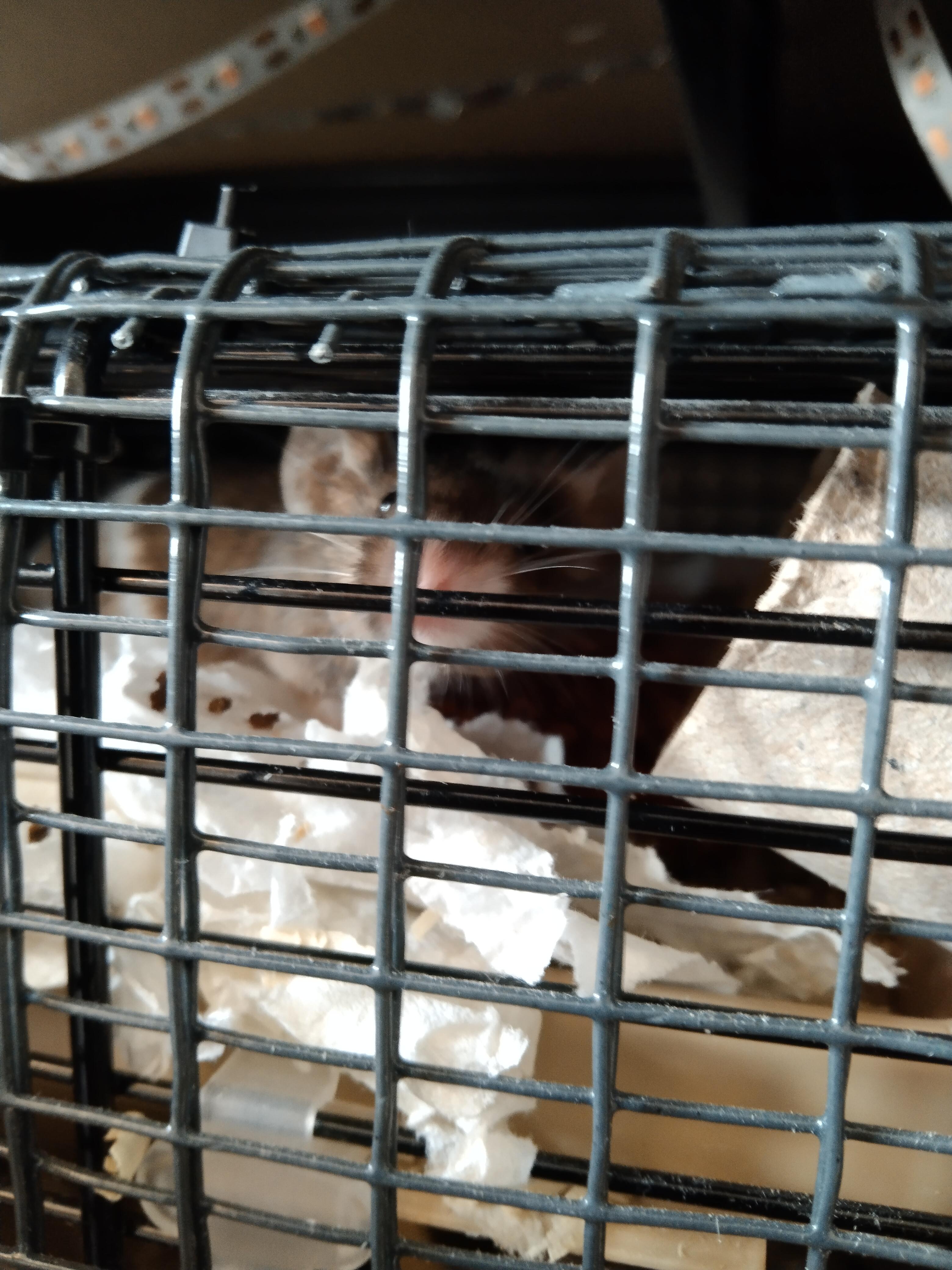 Better replacement for peanuts and peanut butter + bonding milestone | Scrolller