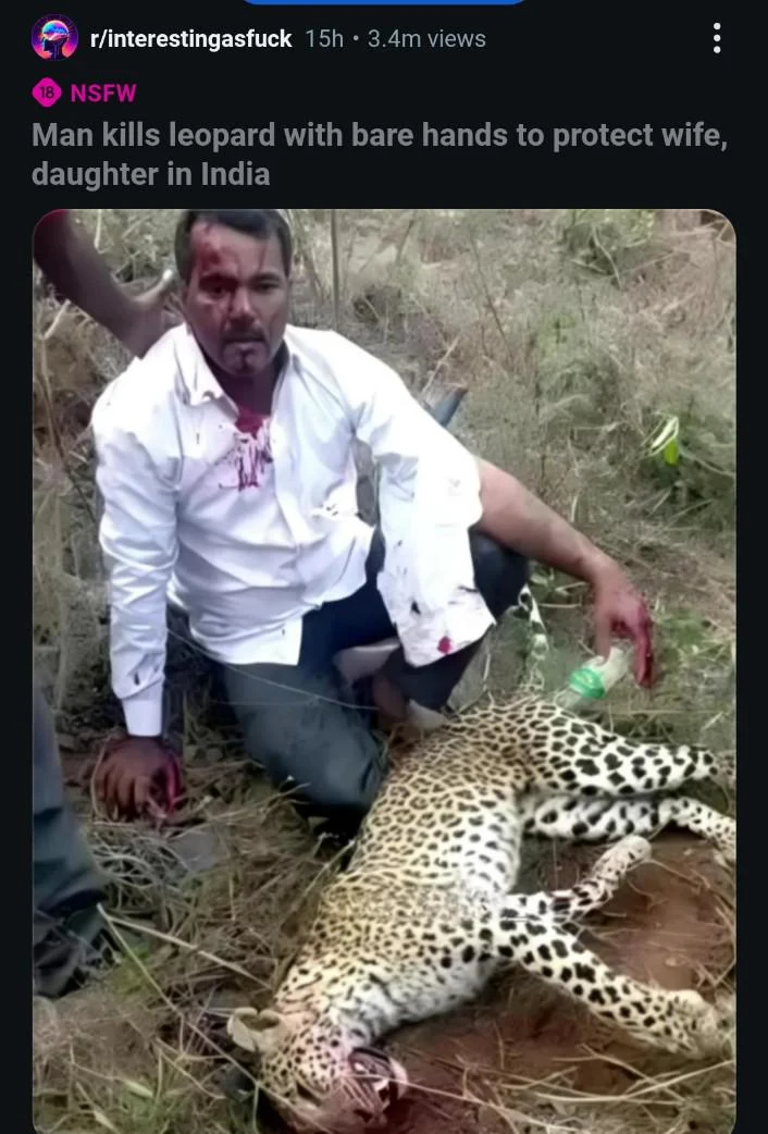 Absolute chad | Scrolller