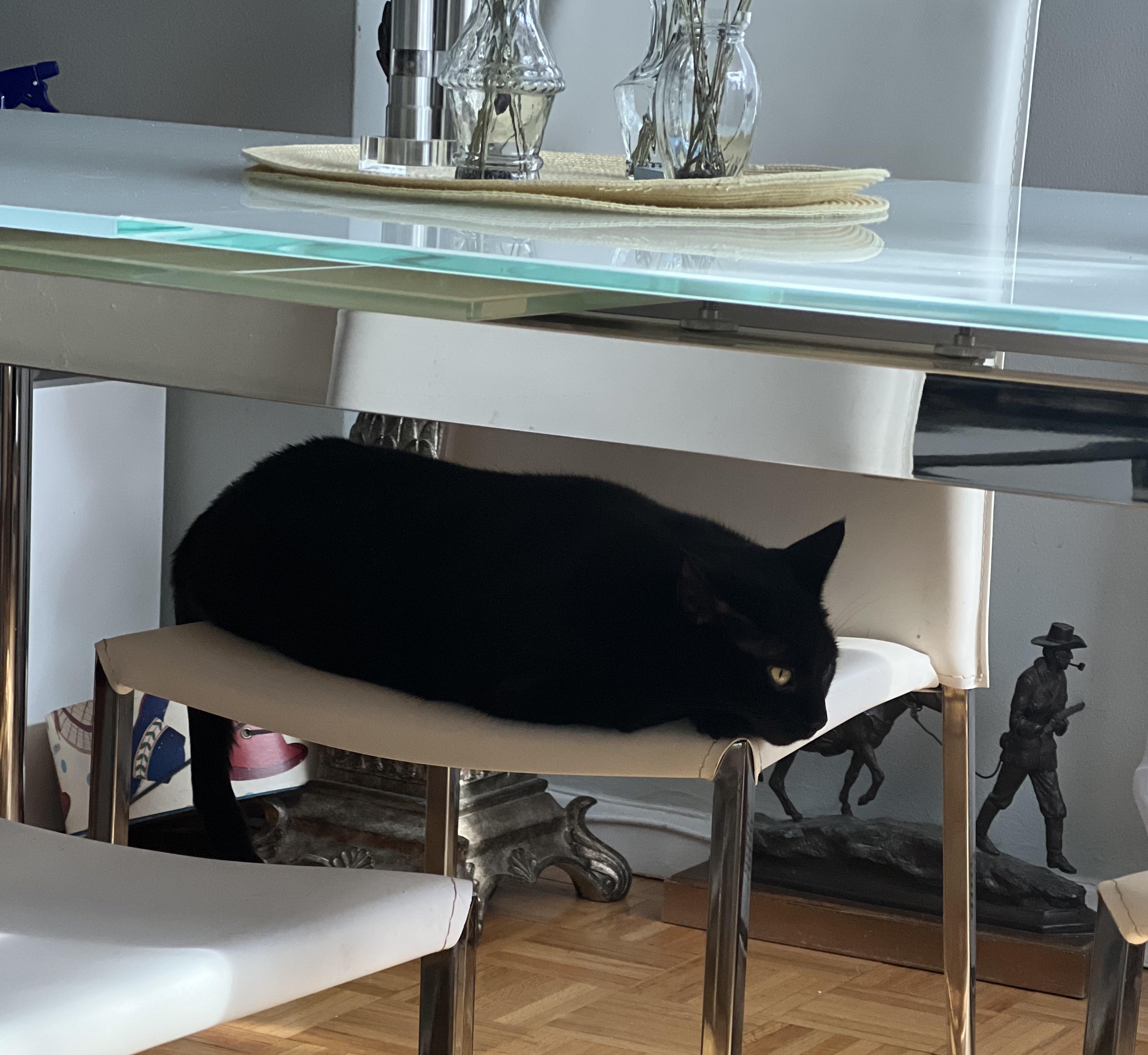loaf from afar | Scrolller