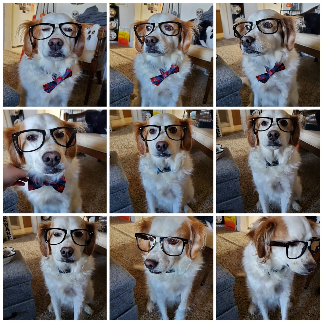 My nerd boy Cooper. 💙 | Scrolller