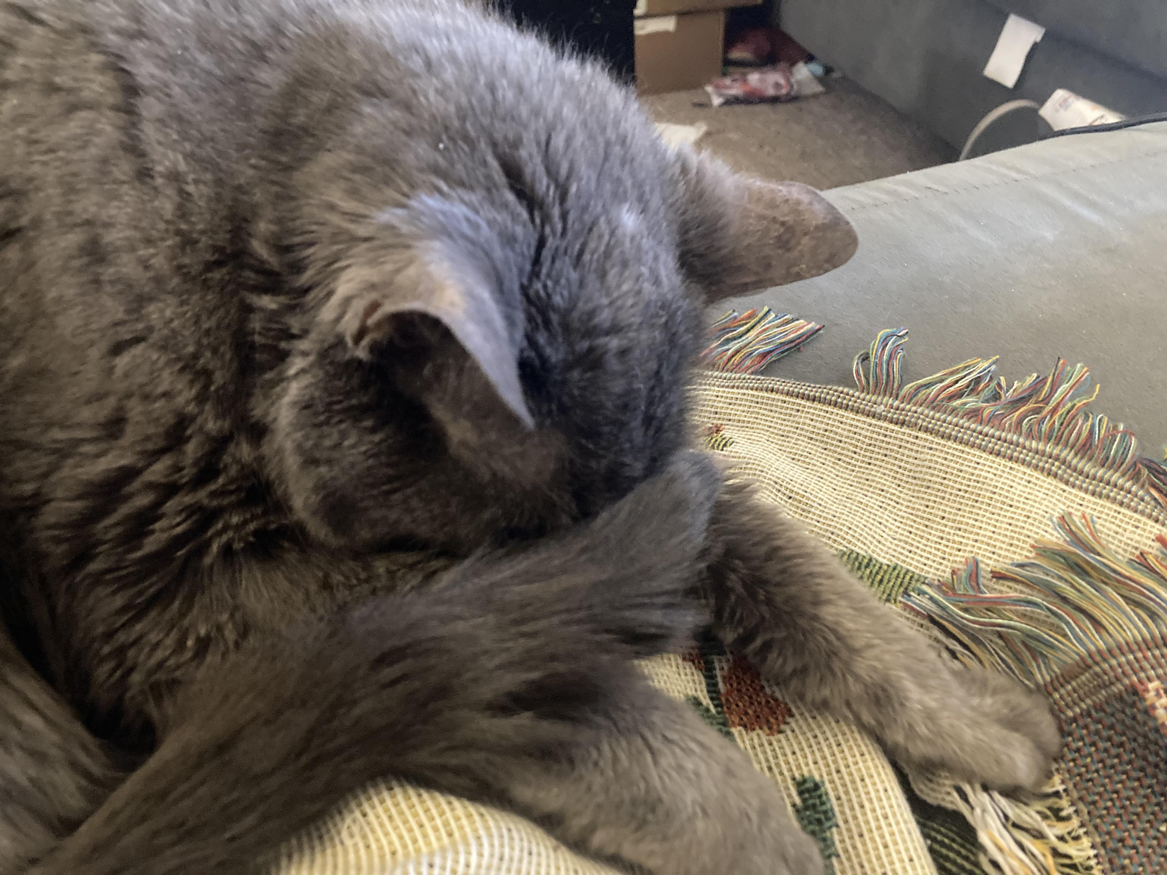 She sleep | Scrolller