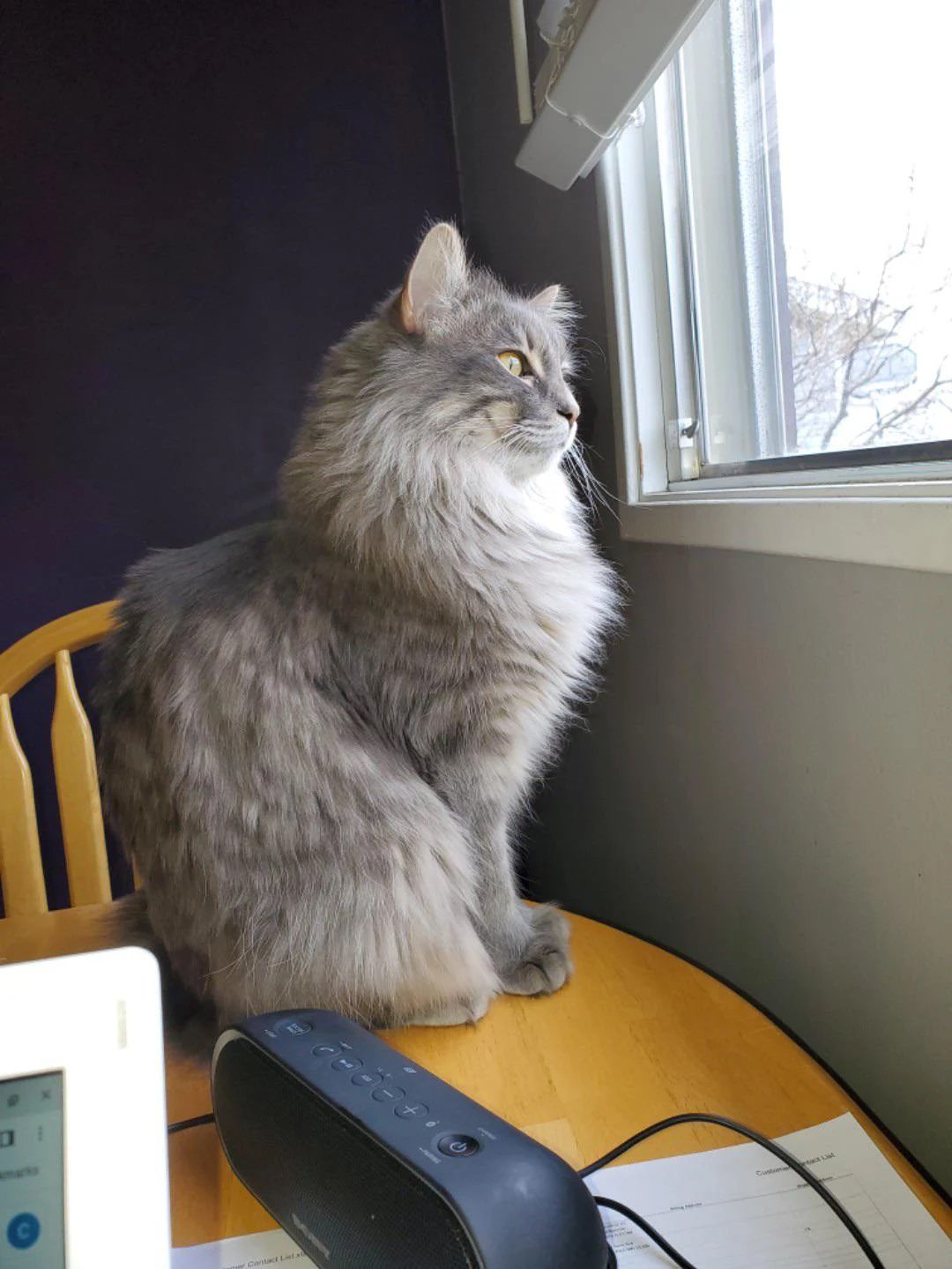 Deep in Contemplation | Scrolller