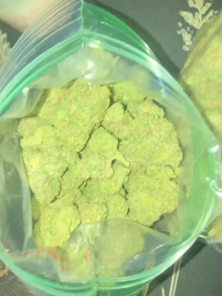 runts, gmo, amber, and gelato 😮‍💨 | Scrolller