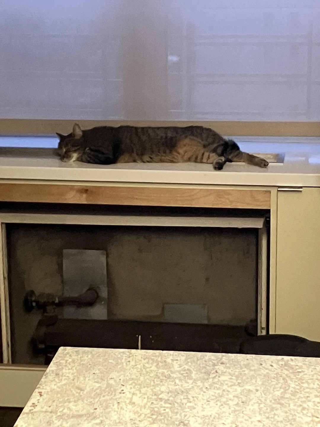 Radiator=warm | Scrolller