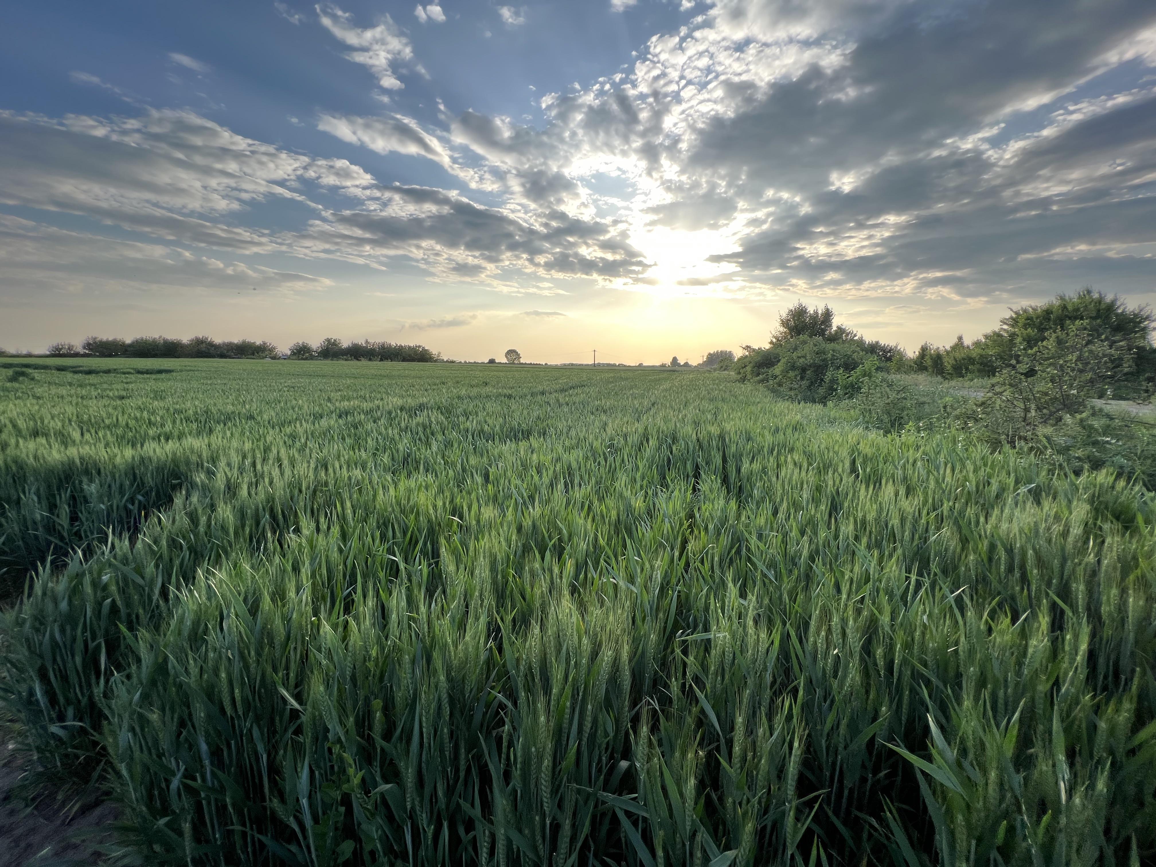 Romanian Village Landscape | Scrolller
