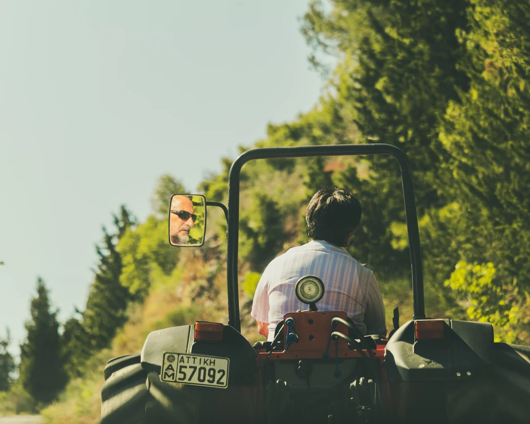 Self-reflection, Semi Neural (me), photography, 2023 | Scrolller