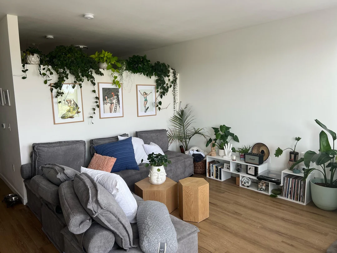 Cozy apt in Bend Oregon | Scrolller