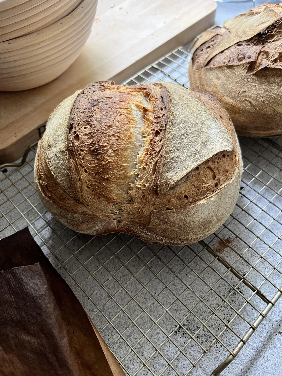 What causes my loaves to elongate like this? | Scrolller