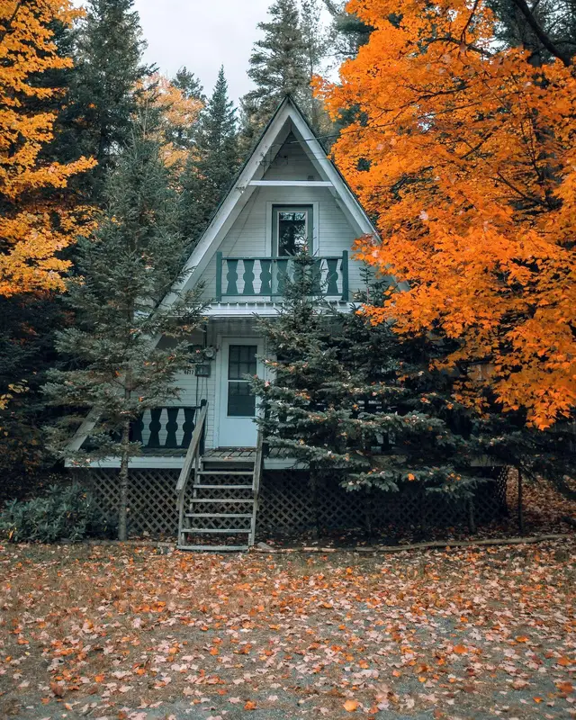 Small hidden cabin | Scrolller