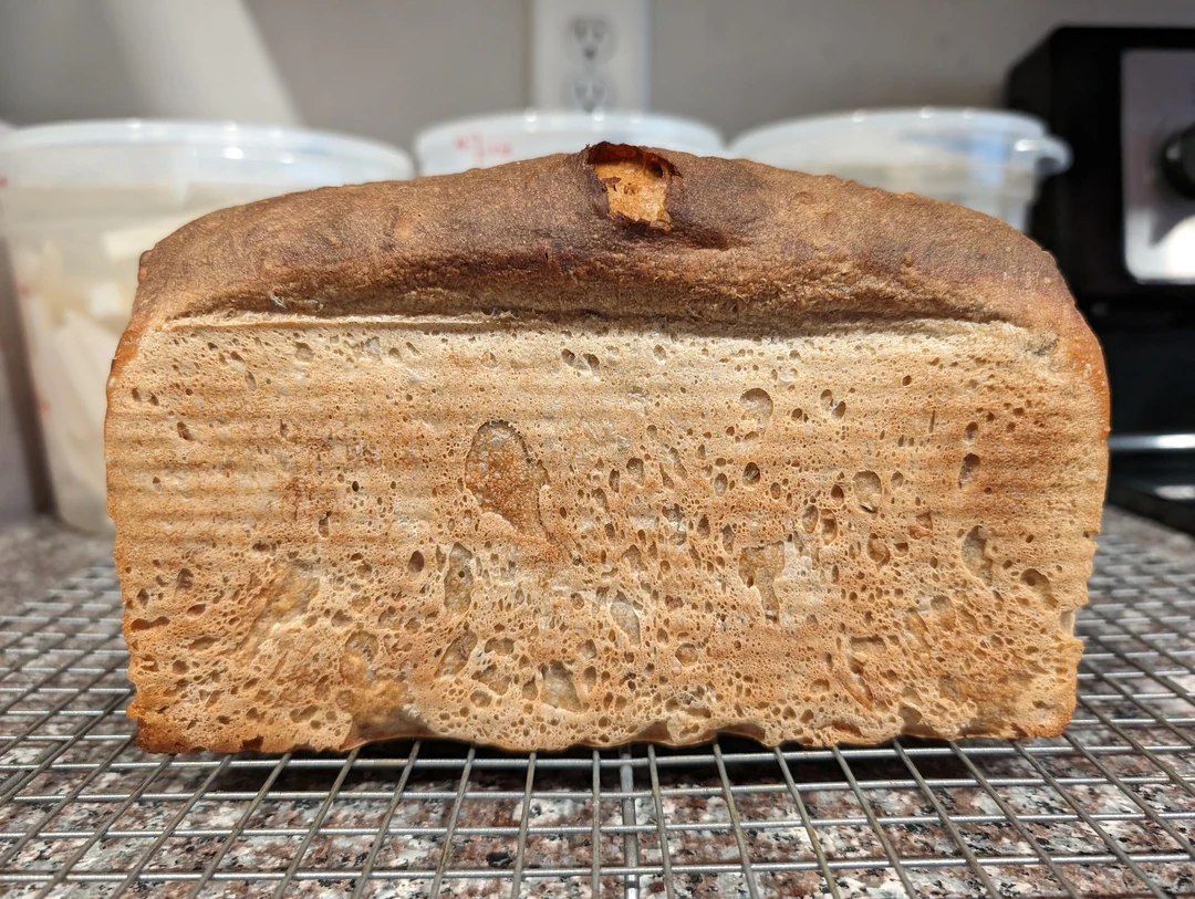 Troubleshooting my rye pan loaf | Scrolller