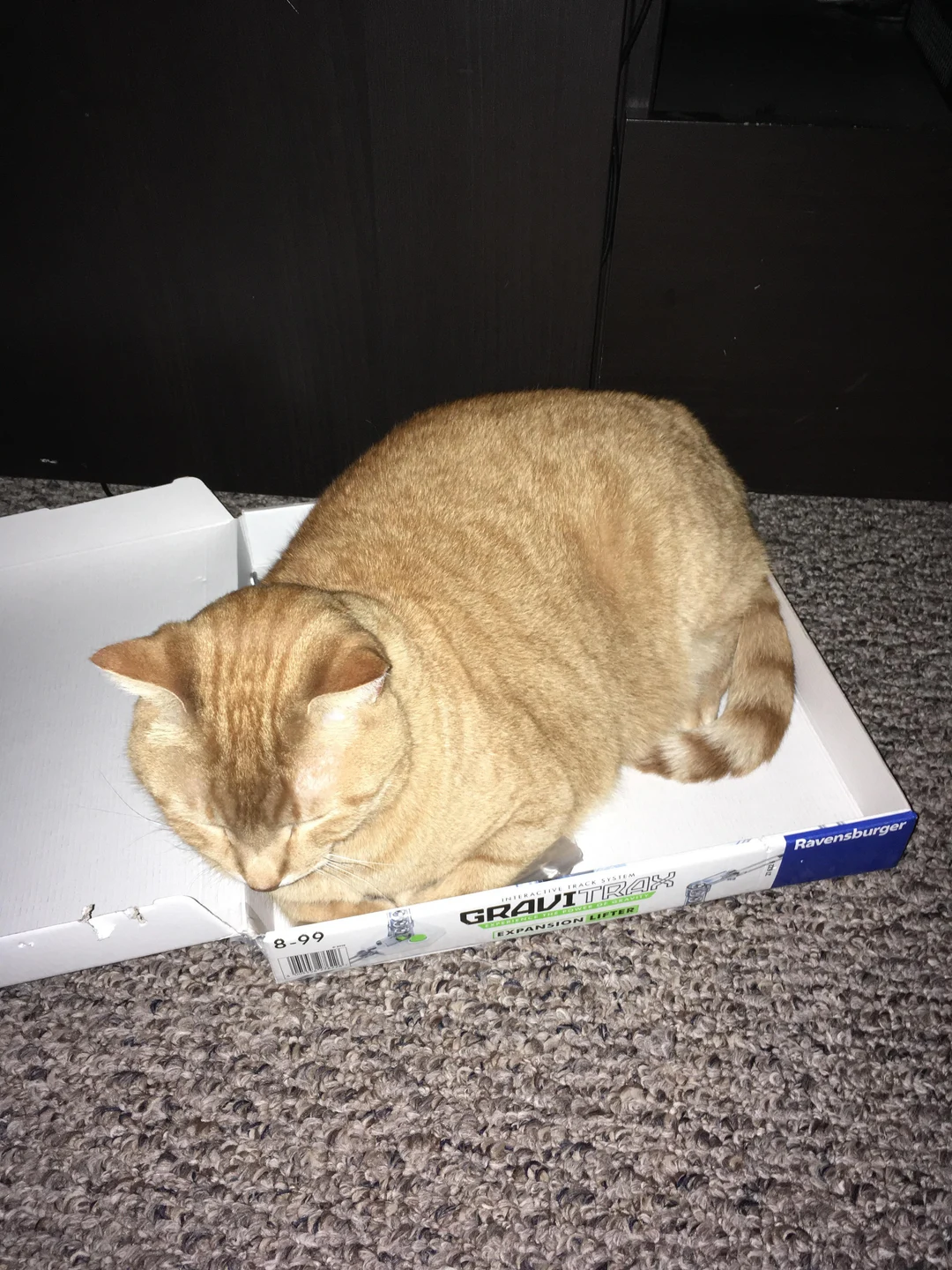 The box has been discovered | Scrolller