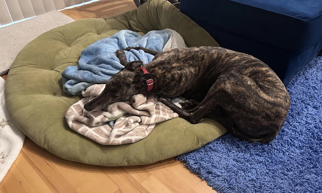 So close | Scrolller