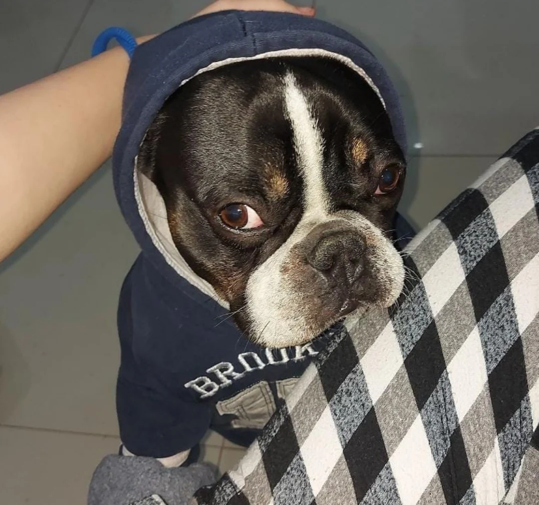 Greeting for humano to human | Scrolller