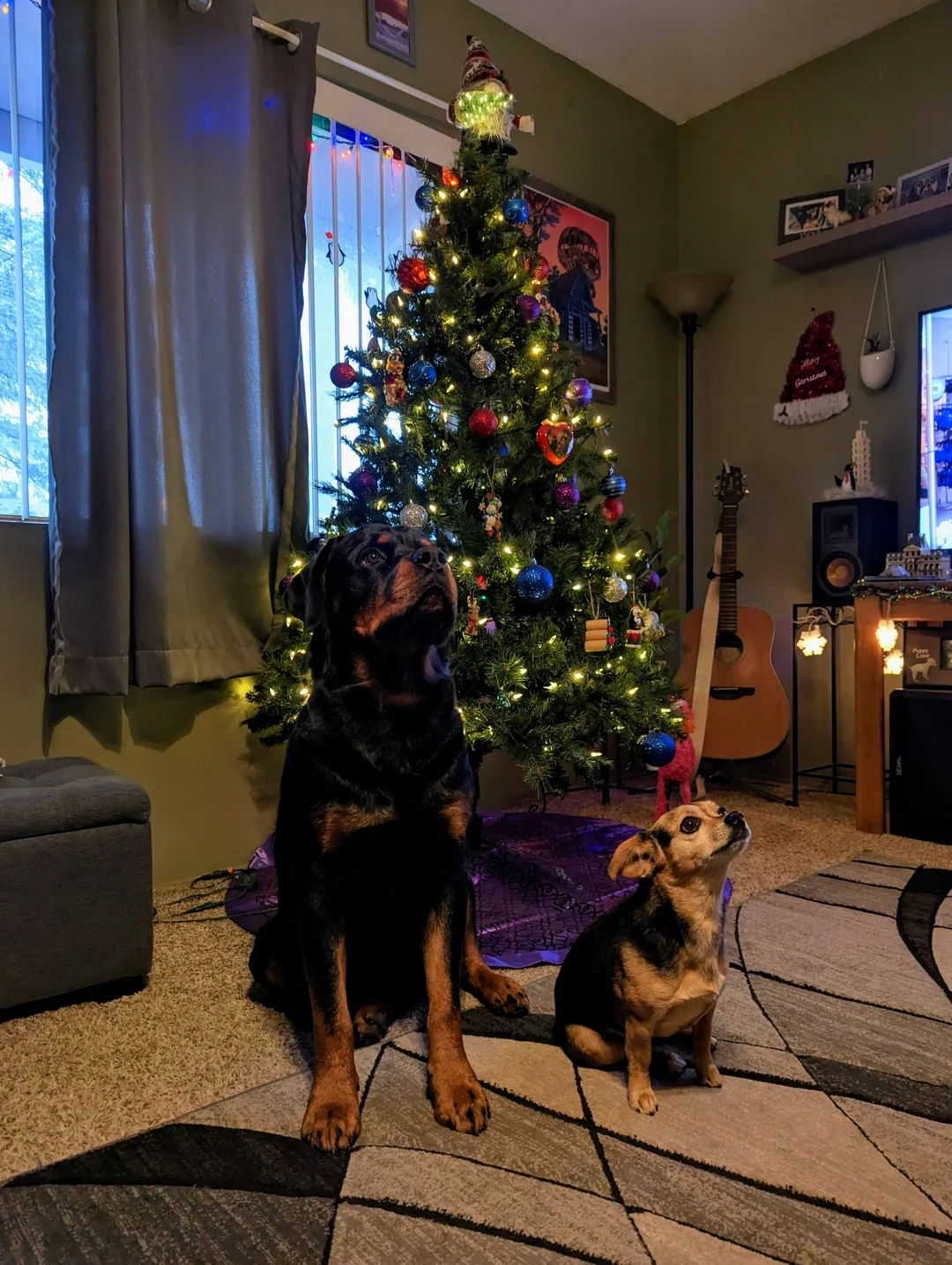 Otis and Maggie are ready for glamour shots. | Scrolller