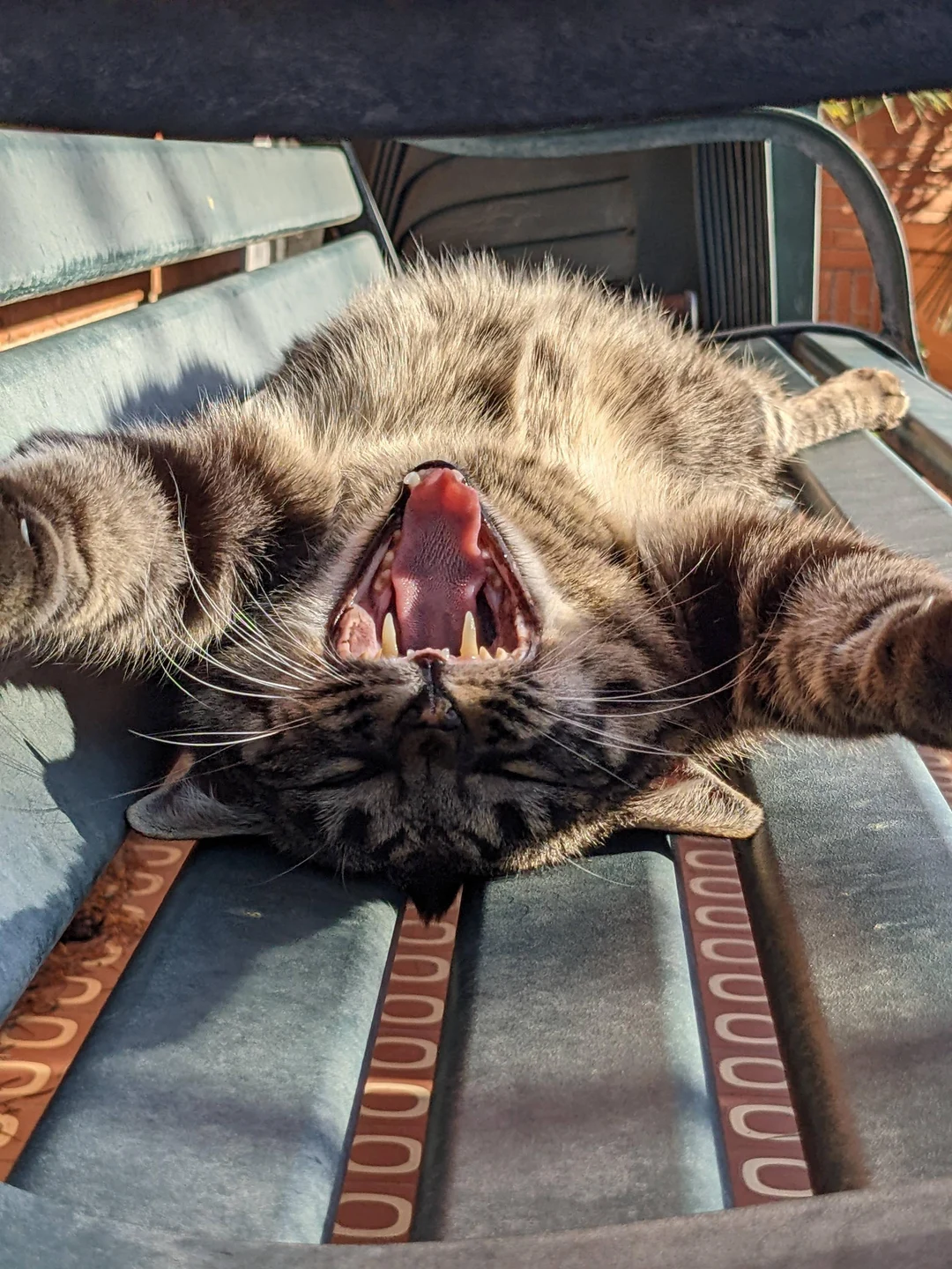 Max Relax | Scrolller