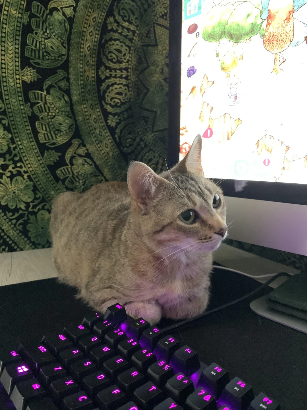 gaming loaf | Scrolller