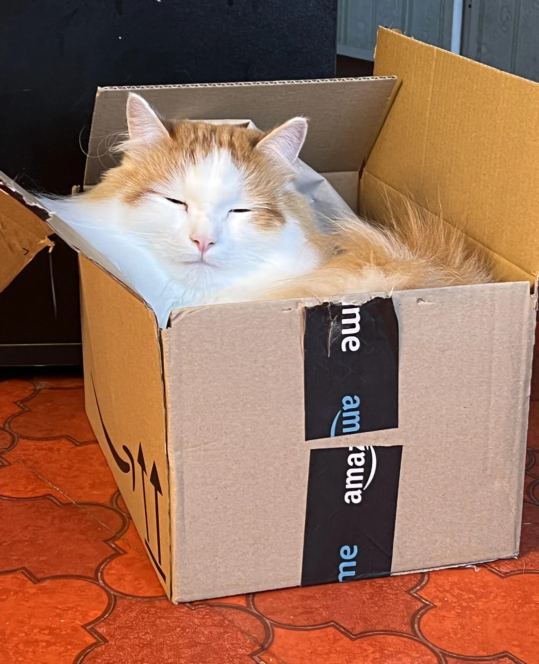 Got it from Amazon! | Scrolller