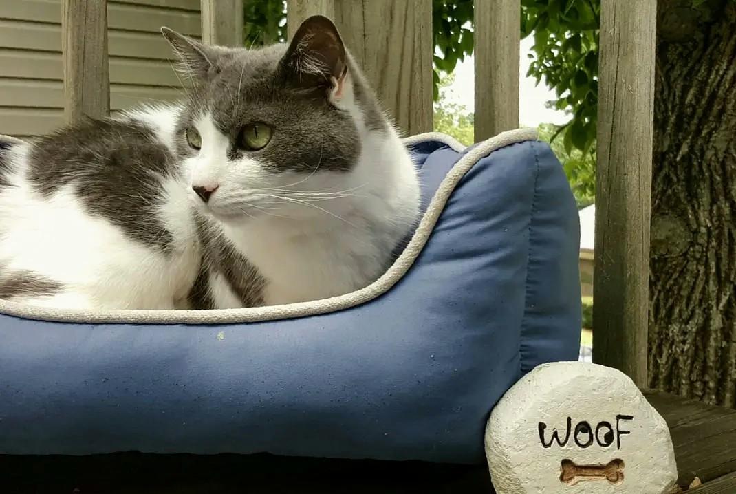 Happy 18th birthday, Sage! | Scrolller