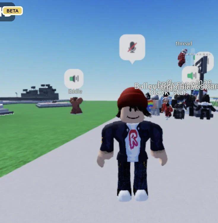 guys, i have roblox vc without an id | Scrolller