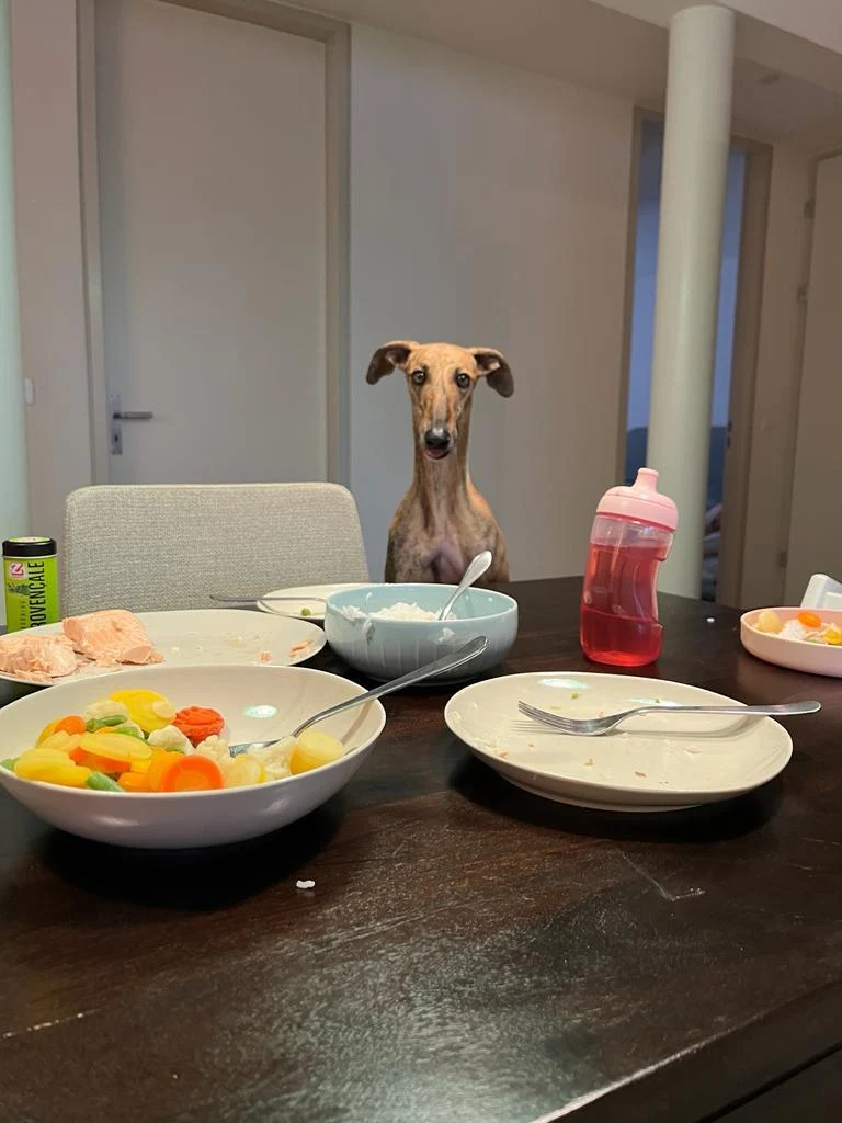 You finished? | Scrolller