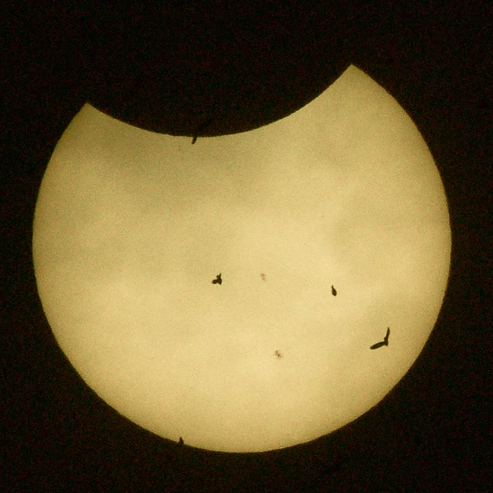 Sunspots and Birds | Scrolller